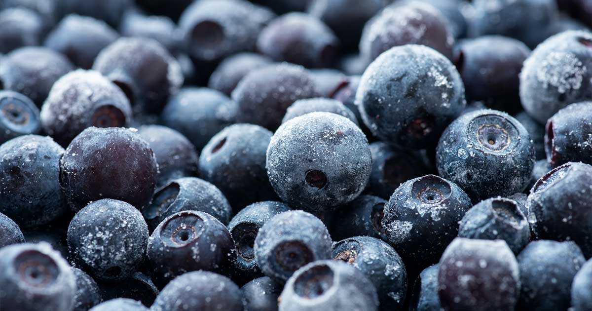 Why Frozen Blueberries May Be the Healthiest Choice - Non-Toxic Dad